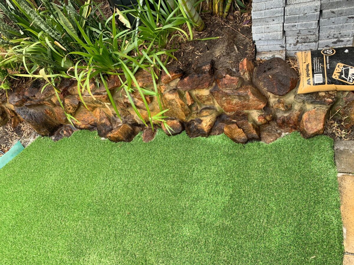 Gallery - Green Planet Grass