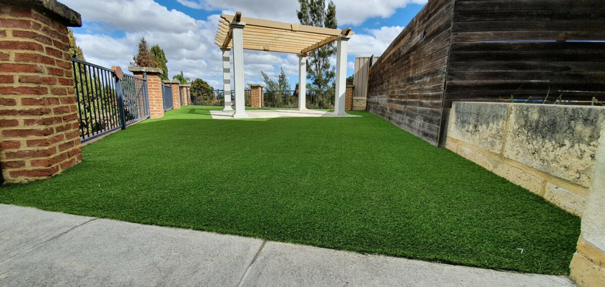 Gallery - Green Planet Grass